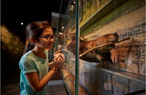 History, Nature, and Science Museum in Winnipeg, MB - Attractions Near ...