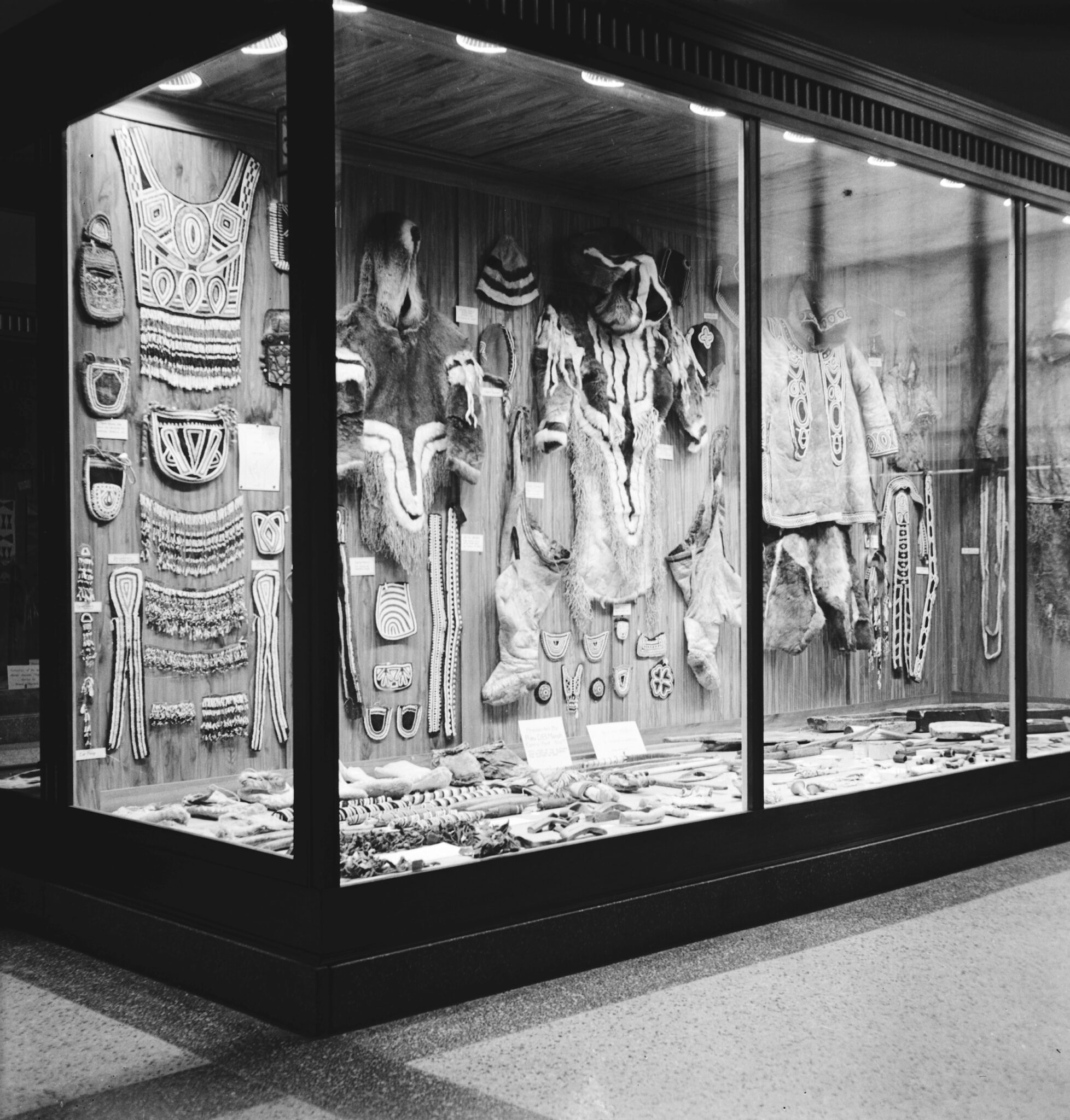 Journey Through the Manitoba Museum's History - Manitoba Museum