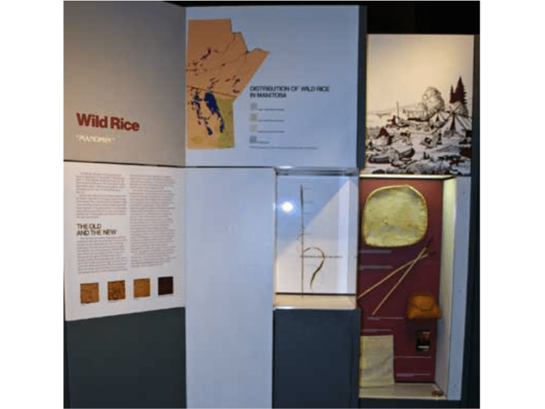 Top Ten Best First Nations Foods - Part 1 - Manitoba Museum