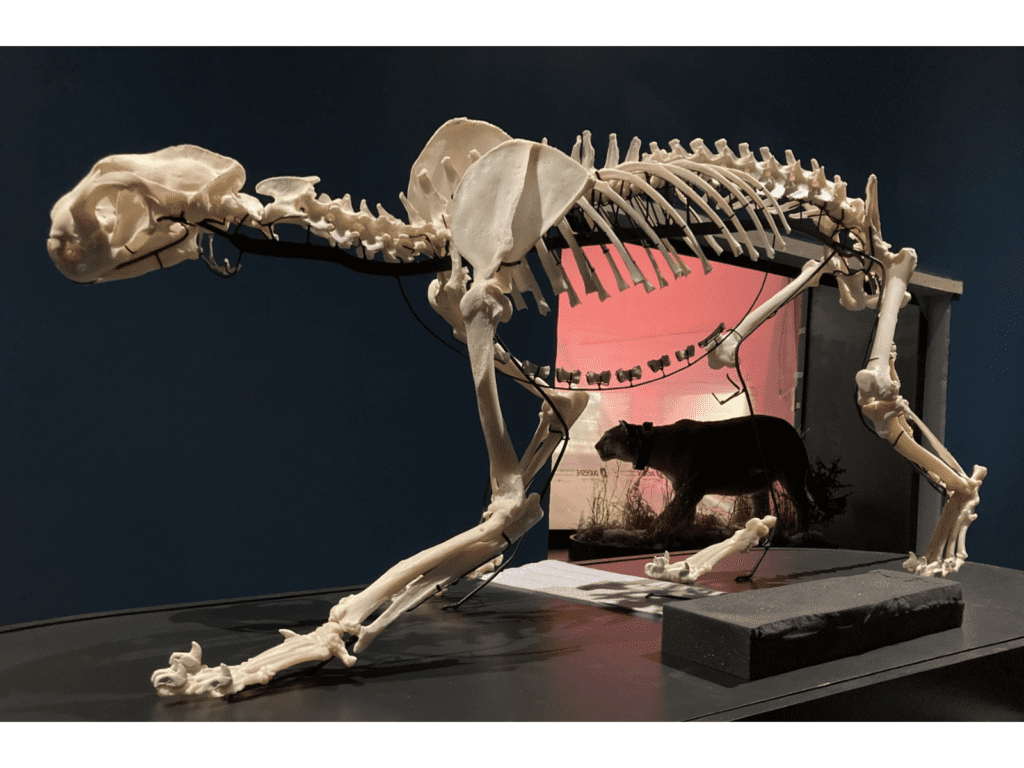 History, Nature, and Science Museum in Winnipeg, MB - Attractions Near ...