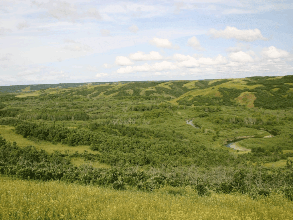 History, Nature, and Science Museum in Winnipeg, MB - Attractions Near ...